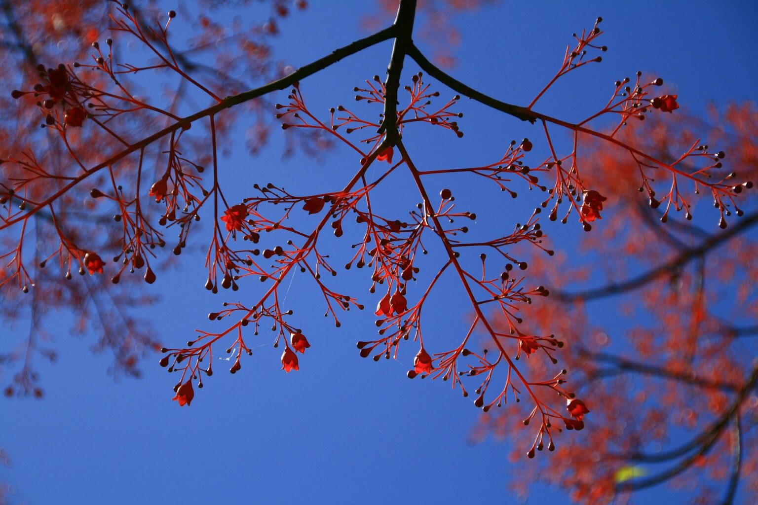 Morgenandachten zu Michael Endes „Momo“ – Kirchengemeinde Reinbek-West
